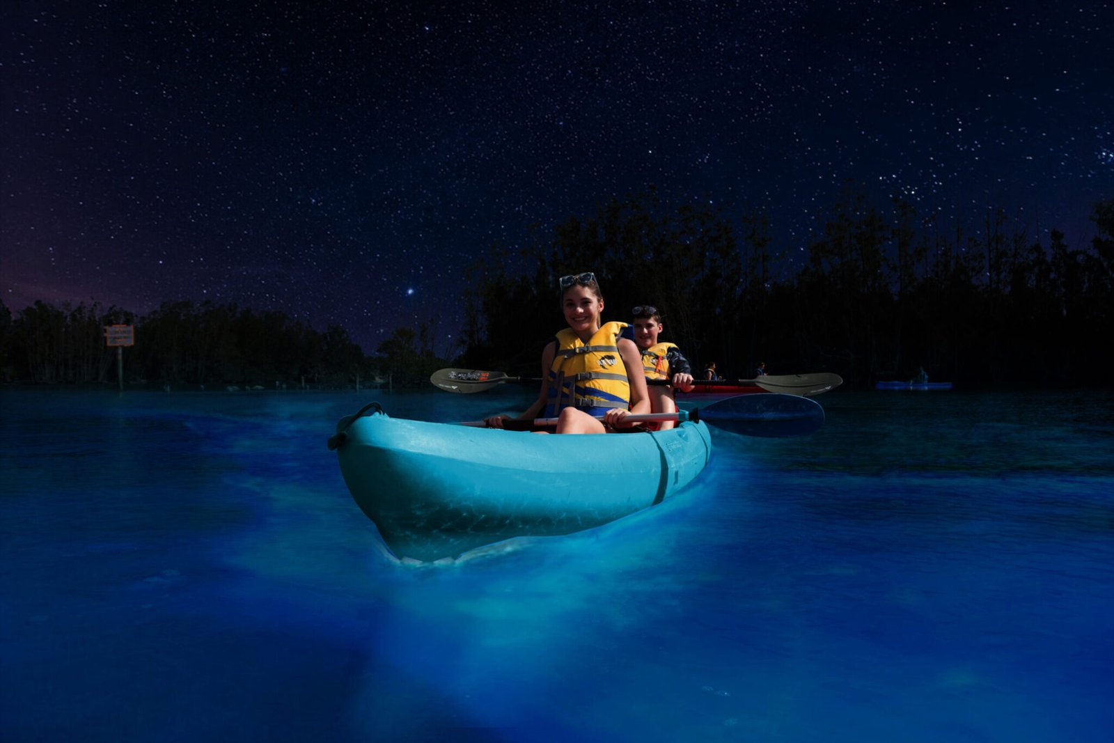 Noctourism USA: Best after-dark nature tours 2026 - atripinfo.com